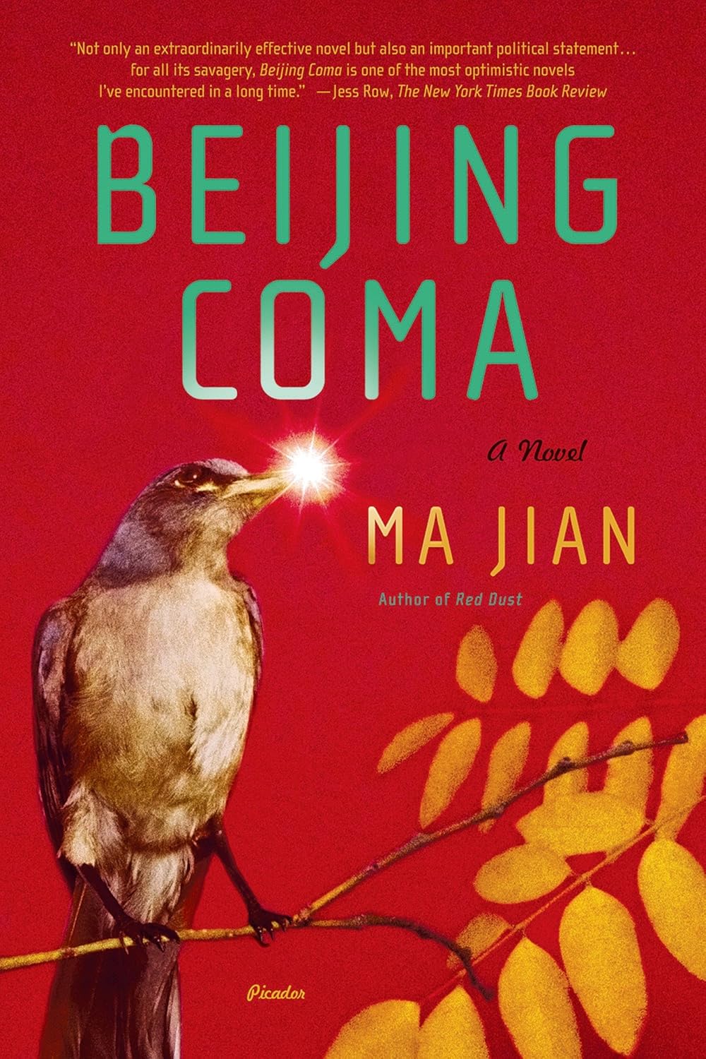Beijing Coma: A Novel: Jian, Ma, Drew, Flora: 9780312428365: Amazon.com ...