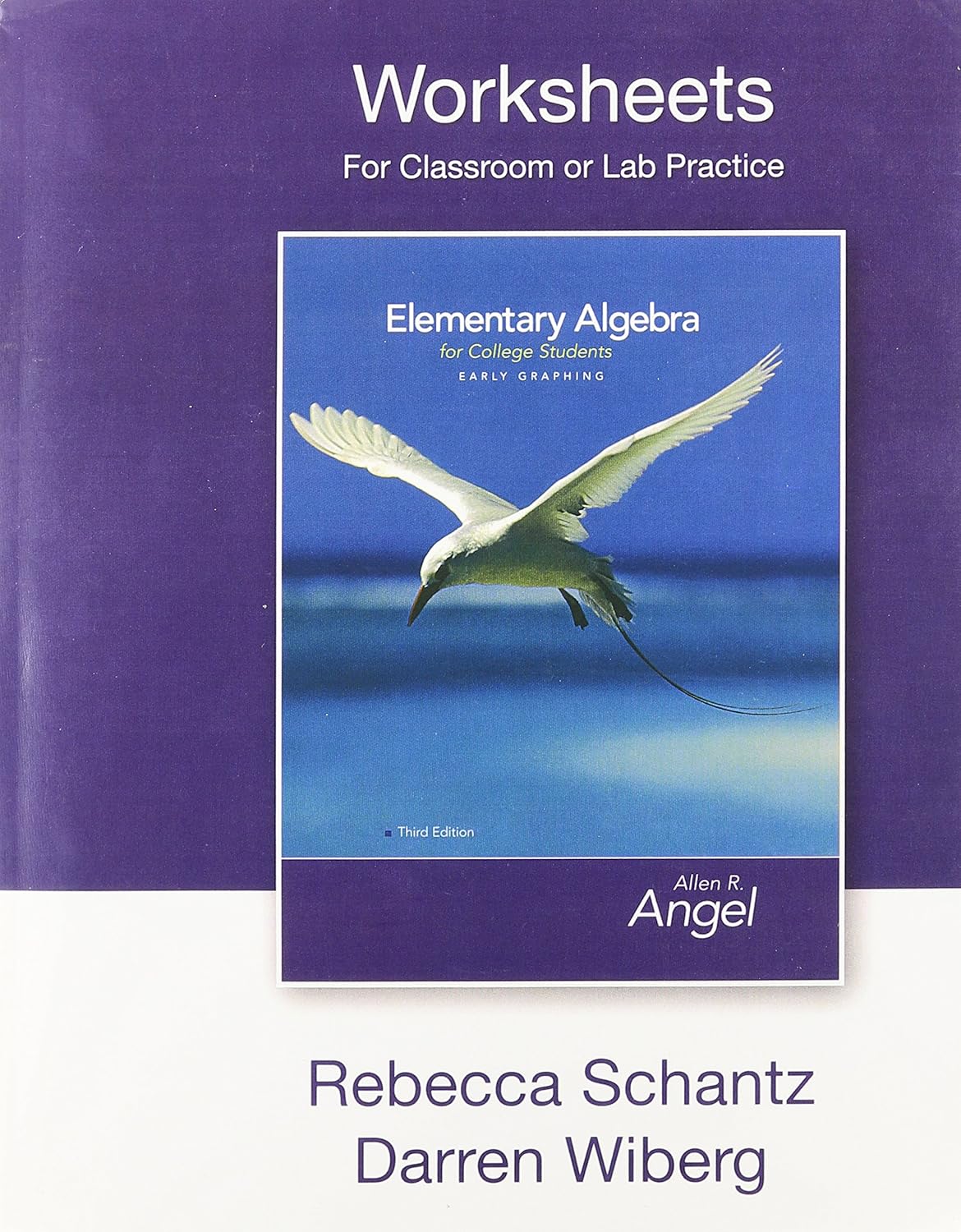 Worksheets for Classroom and Lab Practice for Elementary Algebra Early ...