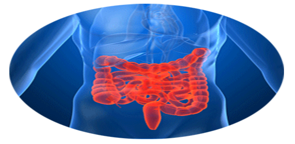 Appendicitis:Amazon.com:Appstore for Android