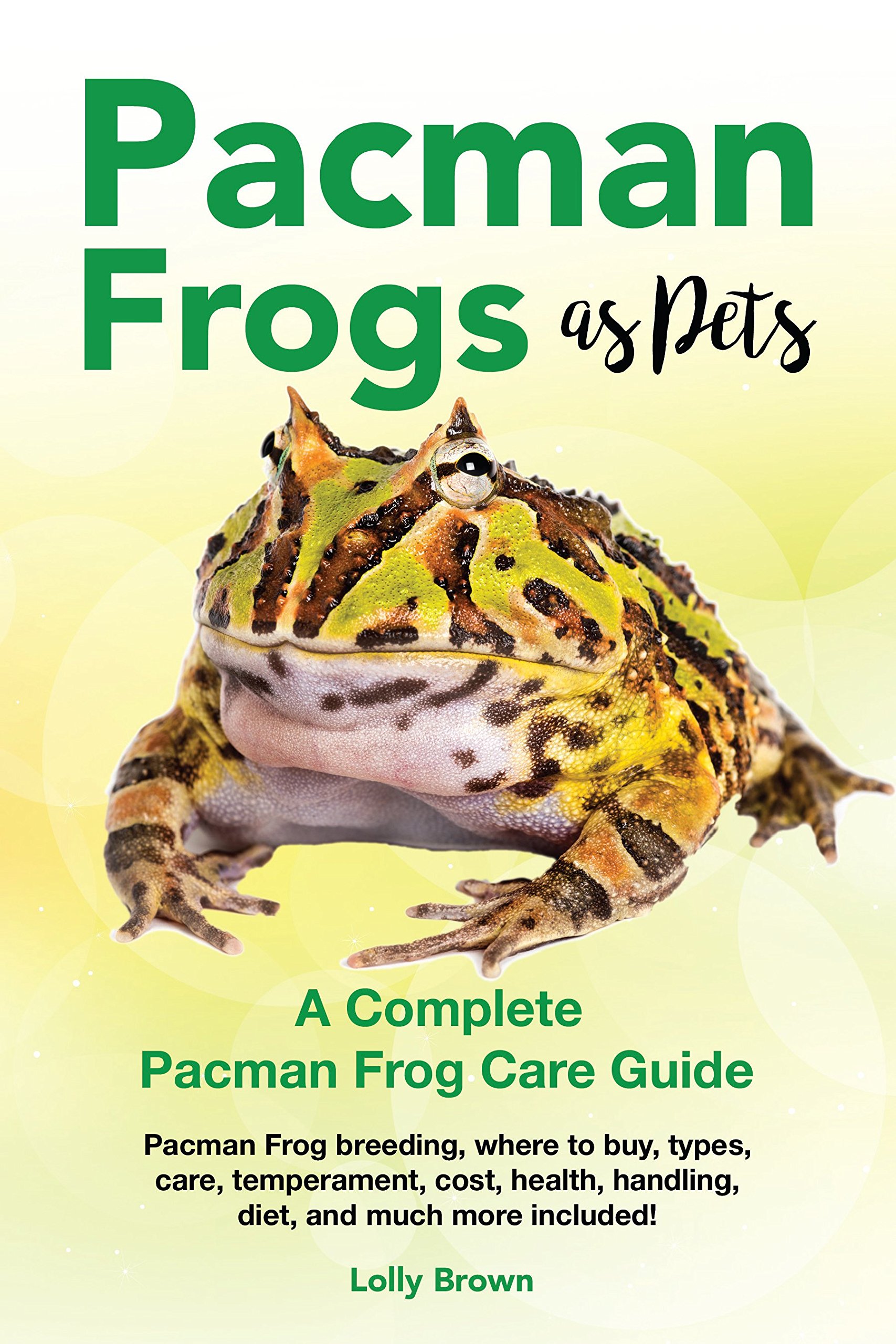 Pacman Frogs As Pets Pacman Frog Breeding Where To Buy | Desertcart INDIA