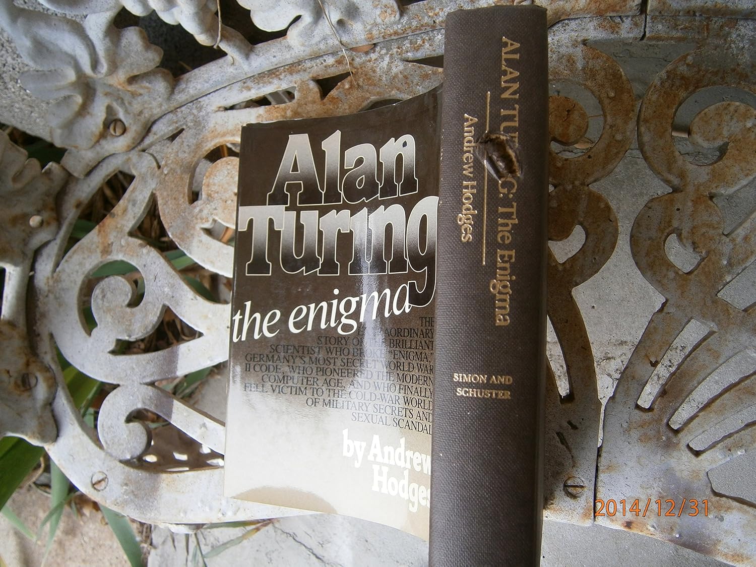 Amazon.com: Alan Turing : The Enigma: 9780671492076: Hodges, Andrew: Books