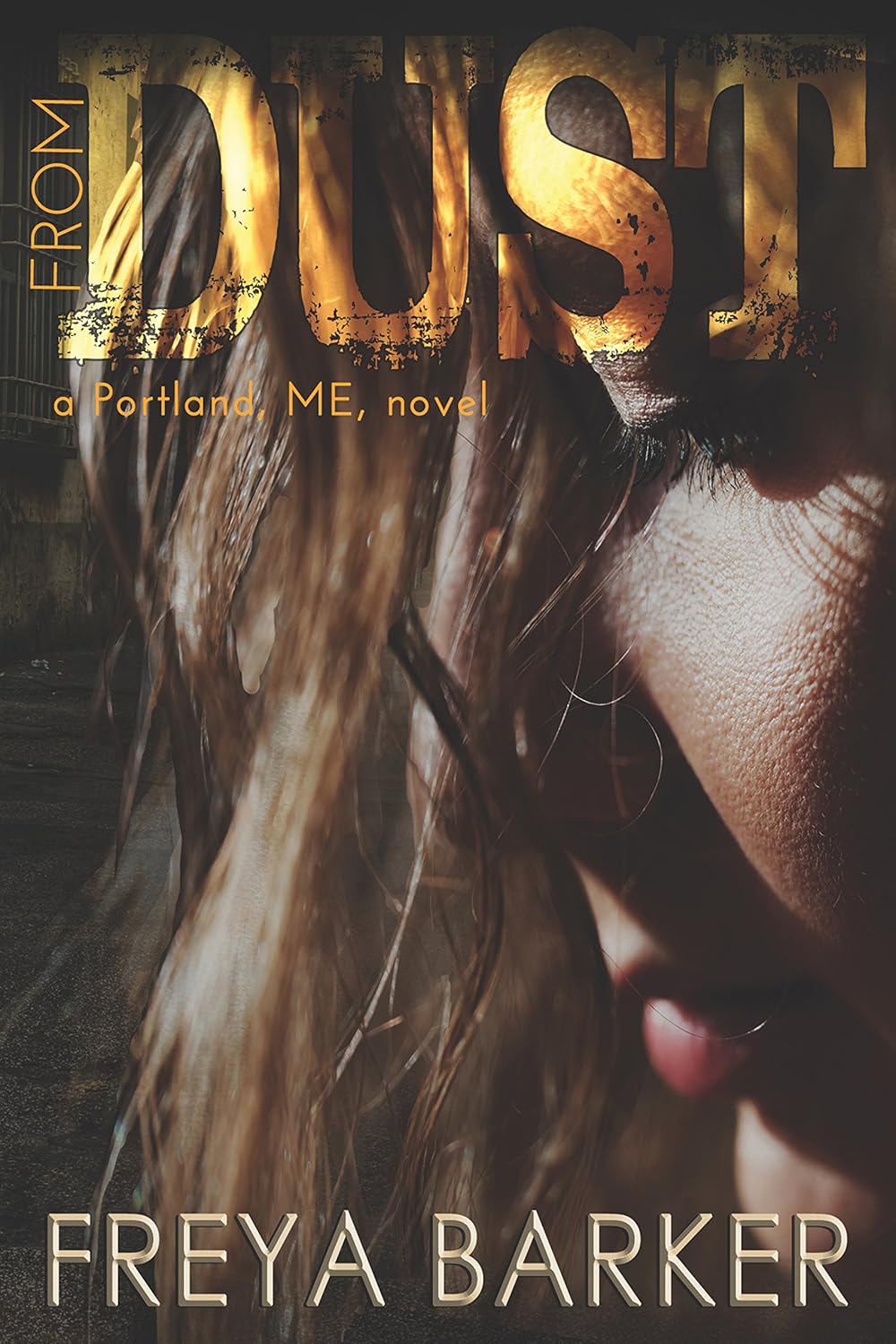 From Dust: a Portland, ME, novel: Barker, Freya: 9781682309148: Amazon ...