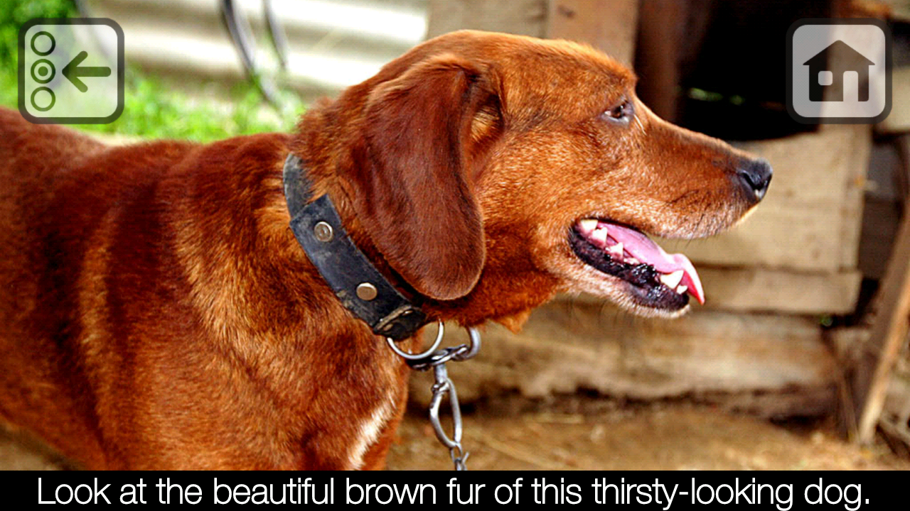 100 Farm Animals - App on Amazon Appstore