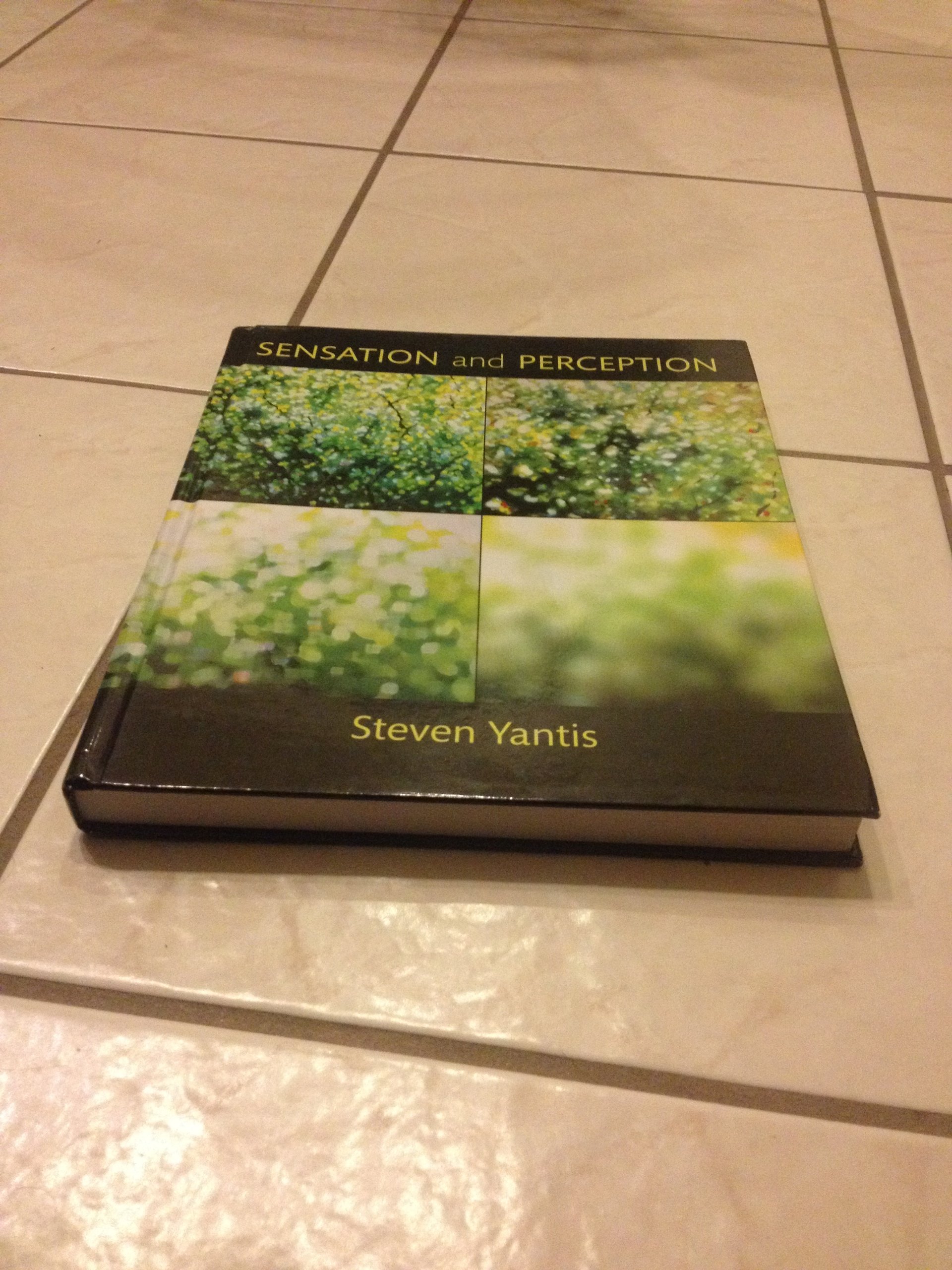 Amazon.com: Sensation and Perception: 9780716757542: Steven Yantis: Books