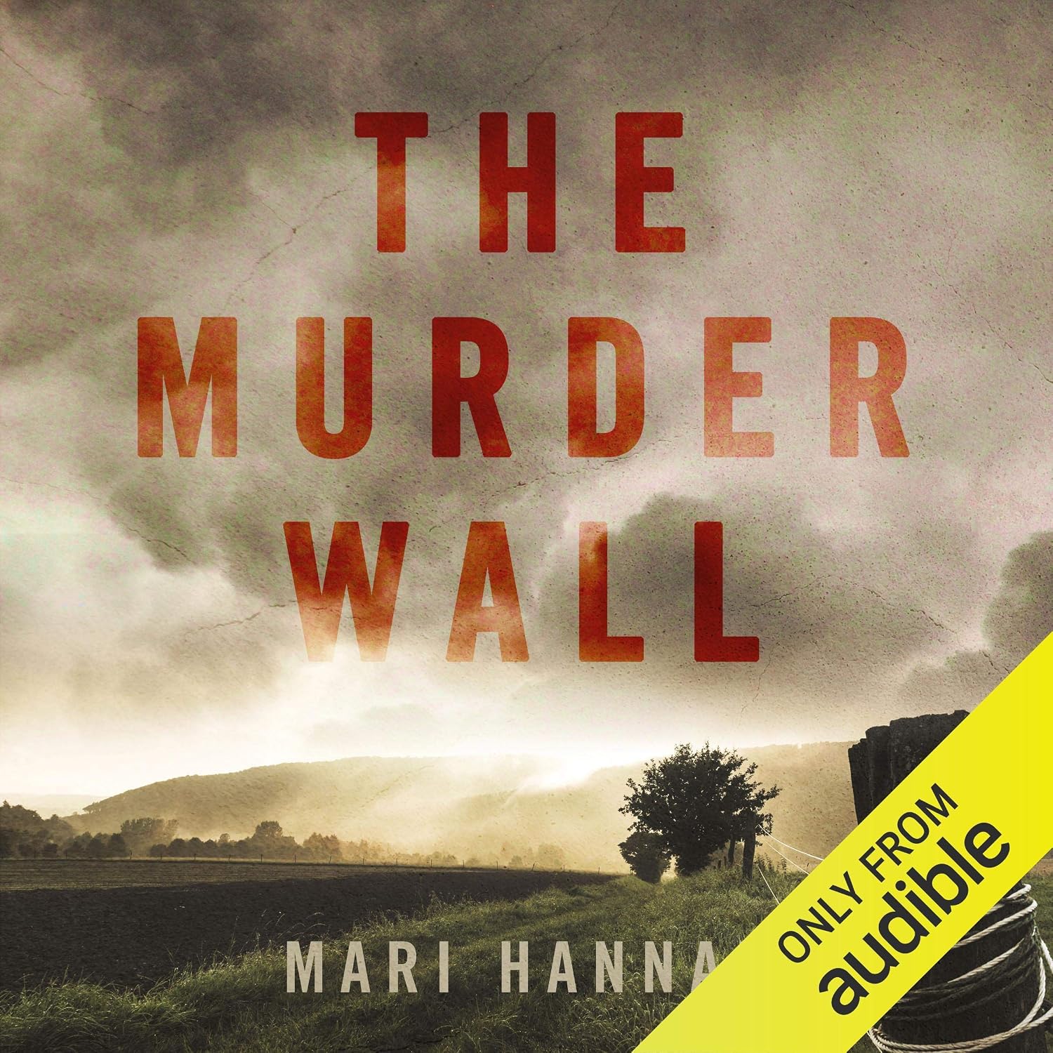Amazon.com: The Murder Wall: DCI Kate Daniels, Book 1 (Audible Audio ...