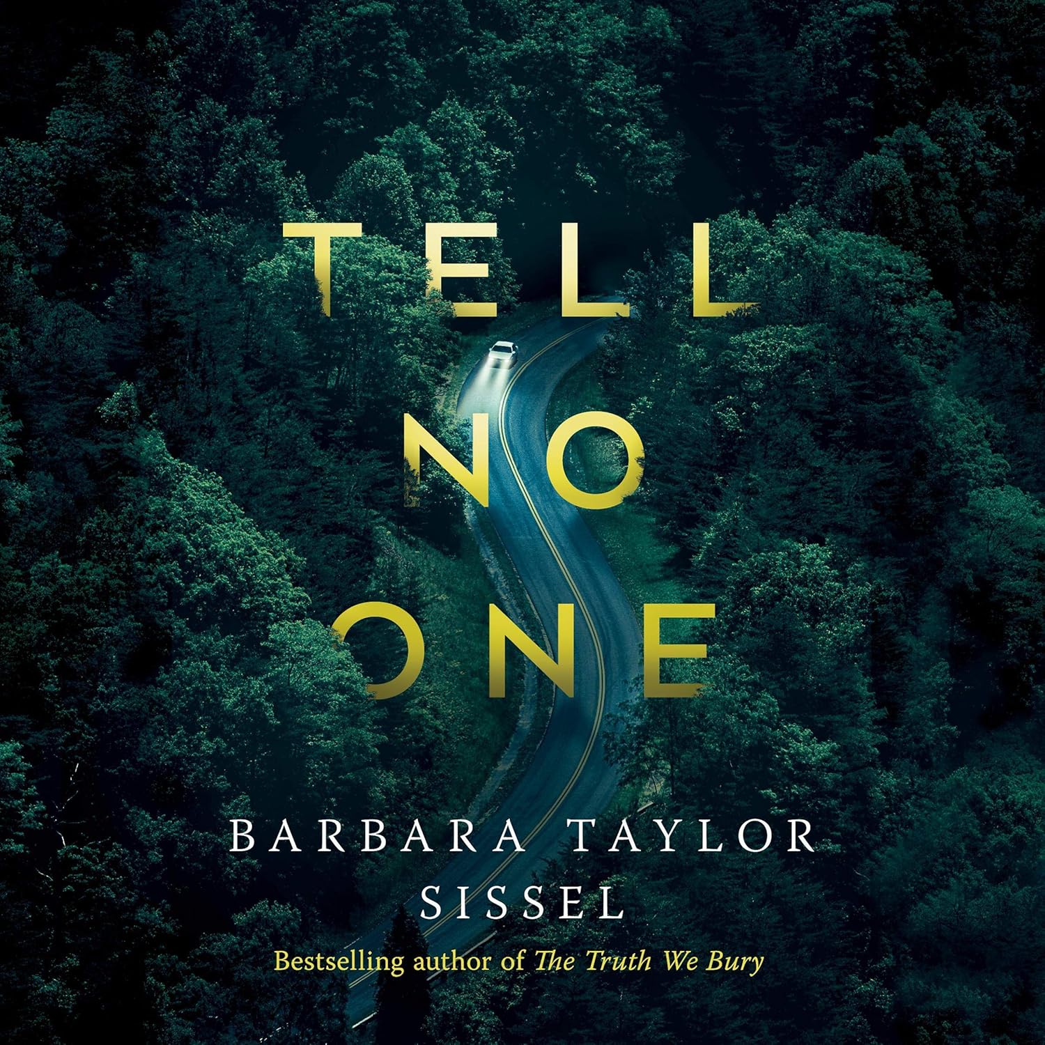 Amazon.com: Tell No One: A Novel (Audible Audio Edition): Barbara ...
