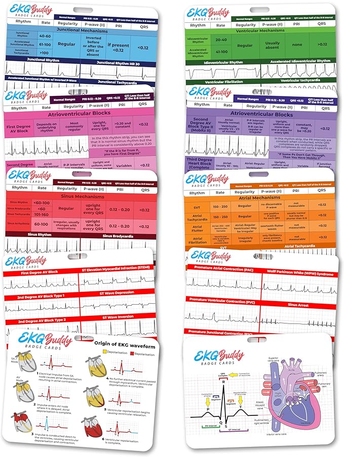 EKG Buddy's 5 Card EKG Interpretation Badge Set - Doubled Sided Nurse ECG Cards Guide Rhythm ...
