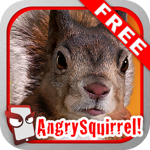 Angry Squirrel Pictures