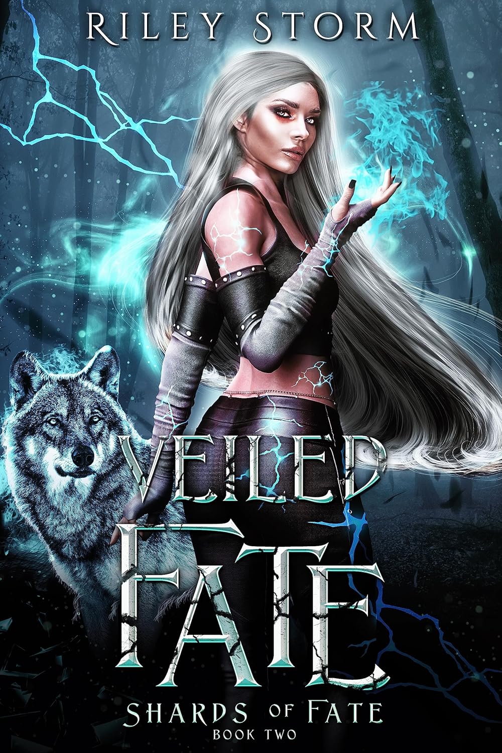 Amazon.com: Veiled Fate (Shards of Fate Book 2) eBook : Storm, Riley: Kindle Store