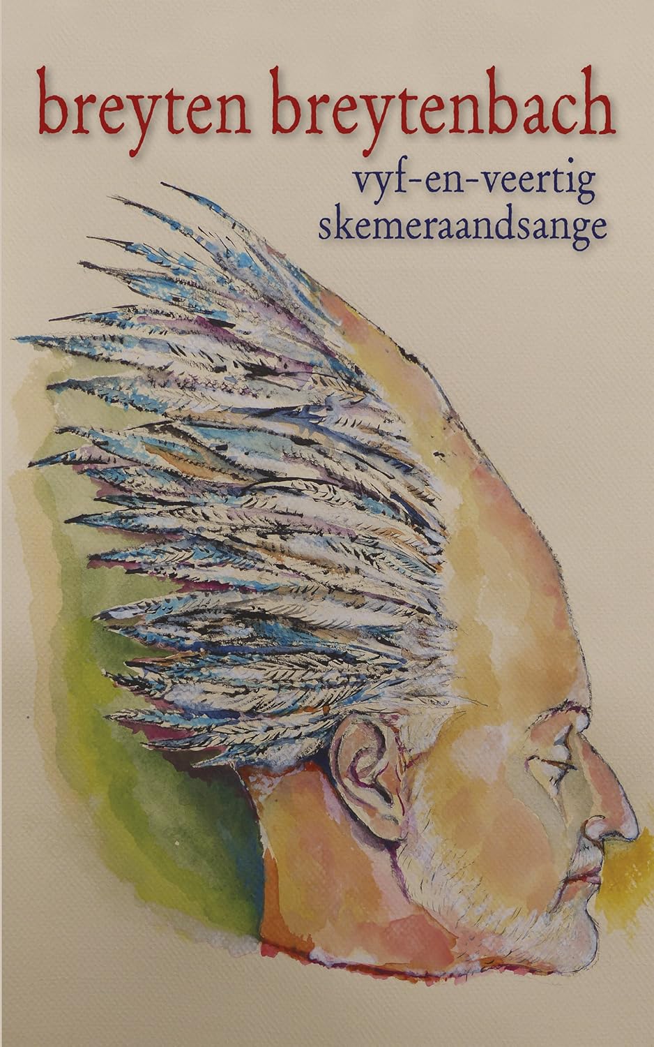 Vyf-en-veertig skemeraandsange: uit die eenbeendanser se werkruimte ...