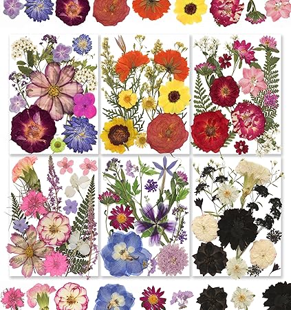 Amazon.com: 140pcs Dried Pressed Flower Leaves & Butterfly Stickers for Crafts,TrendCart Real ...