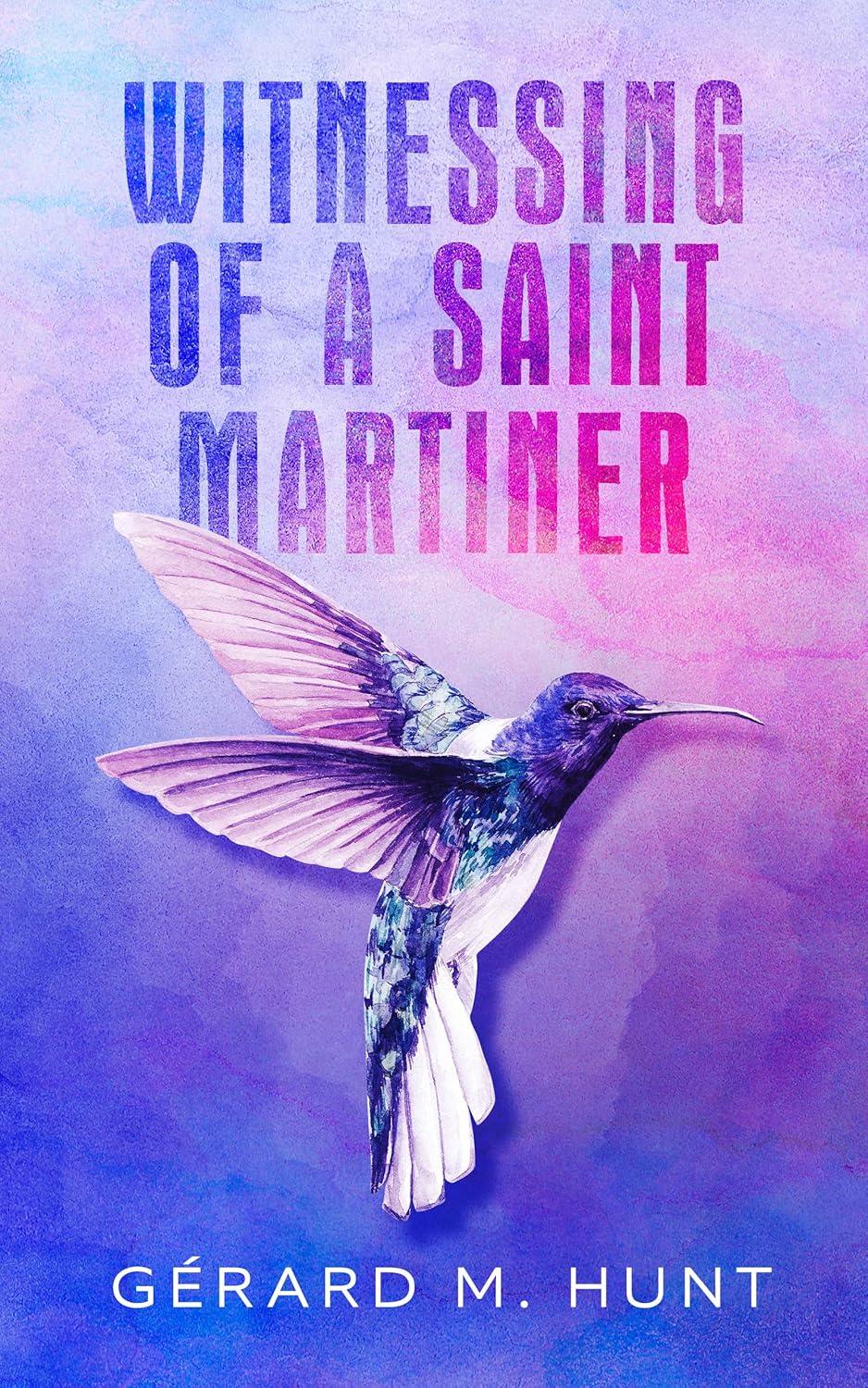 Amazon.com: WITNESSING OF A SAINT MARTINER eBook : HUNT, GÉRARD M.: Books