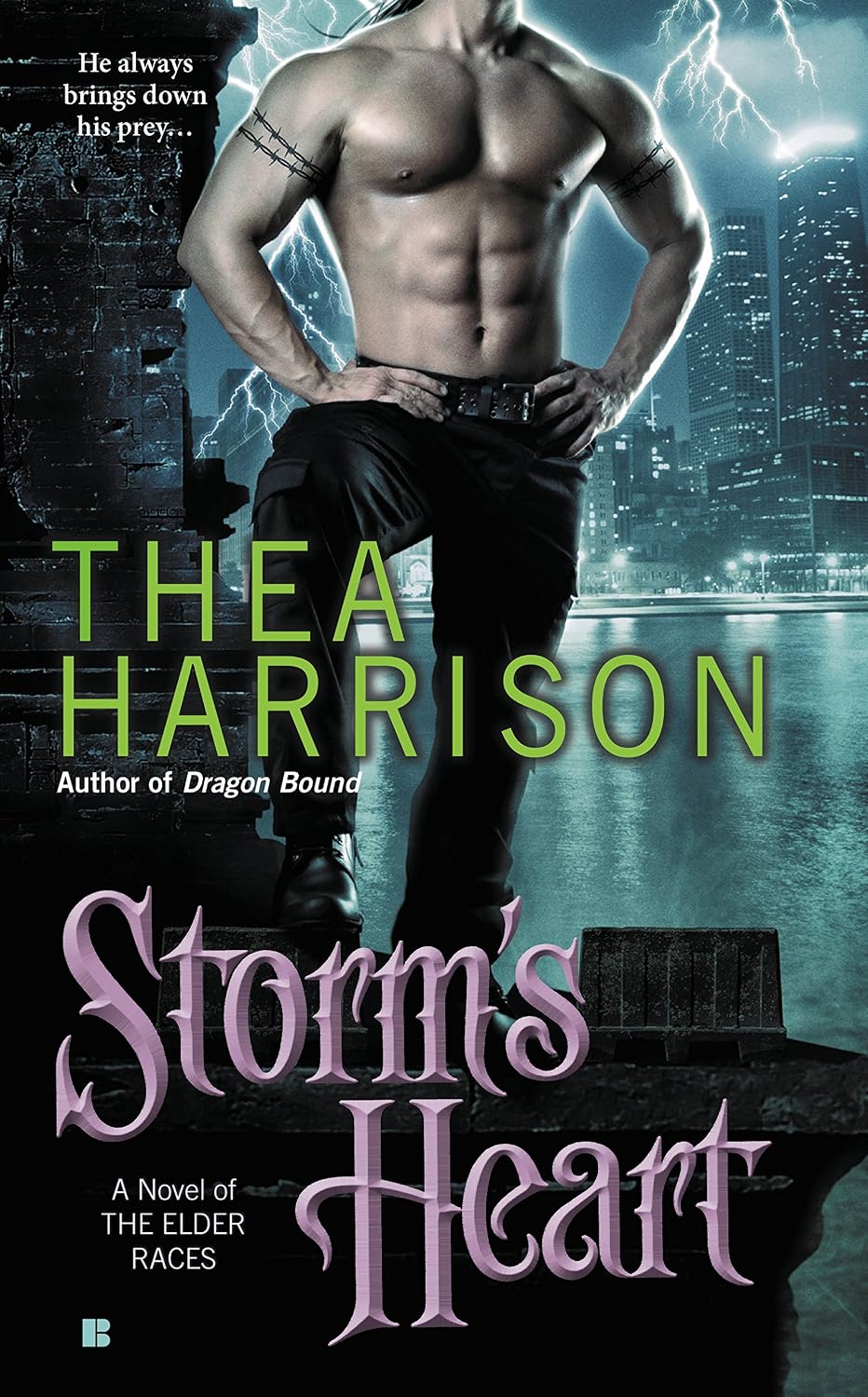 Amazon.com: Storm's Heart (Elder Races Book 2) eBook : Harrison, Thea ...