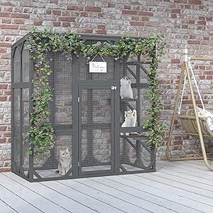Amazon.com: Catio Outdoor Cat Enclosure, 60" Large Cat Enclosure Window ...