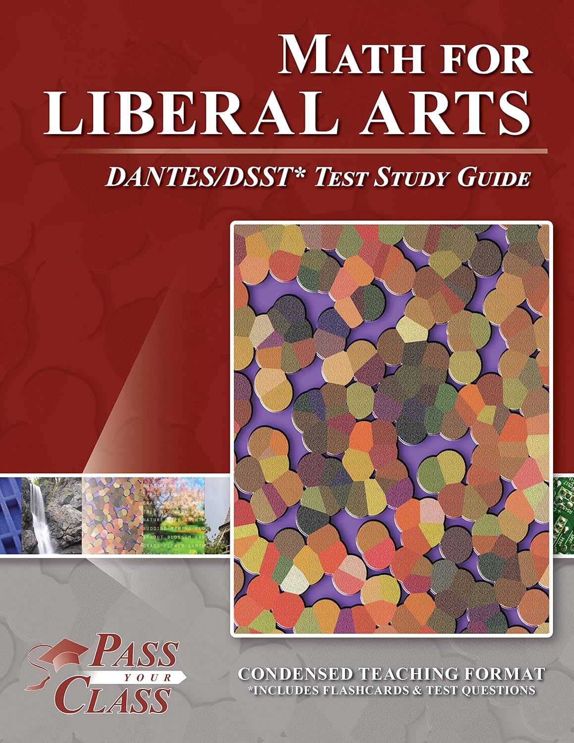 Amazon.com: Math for Liberal Arts DANTES/DSST Test Study Guide eBook ...