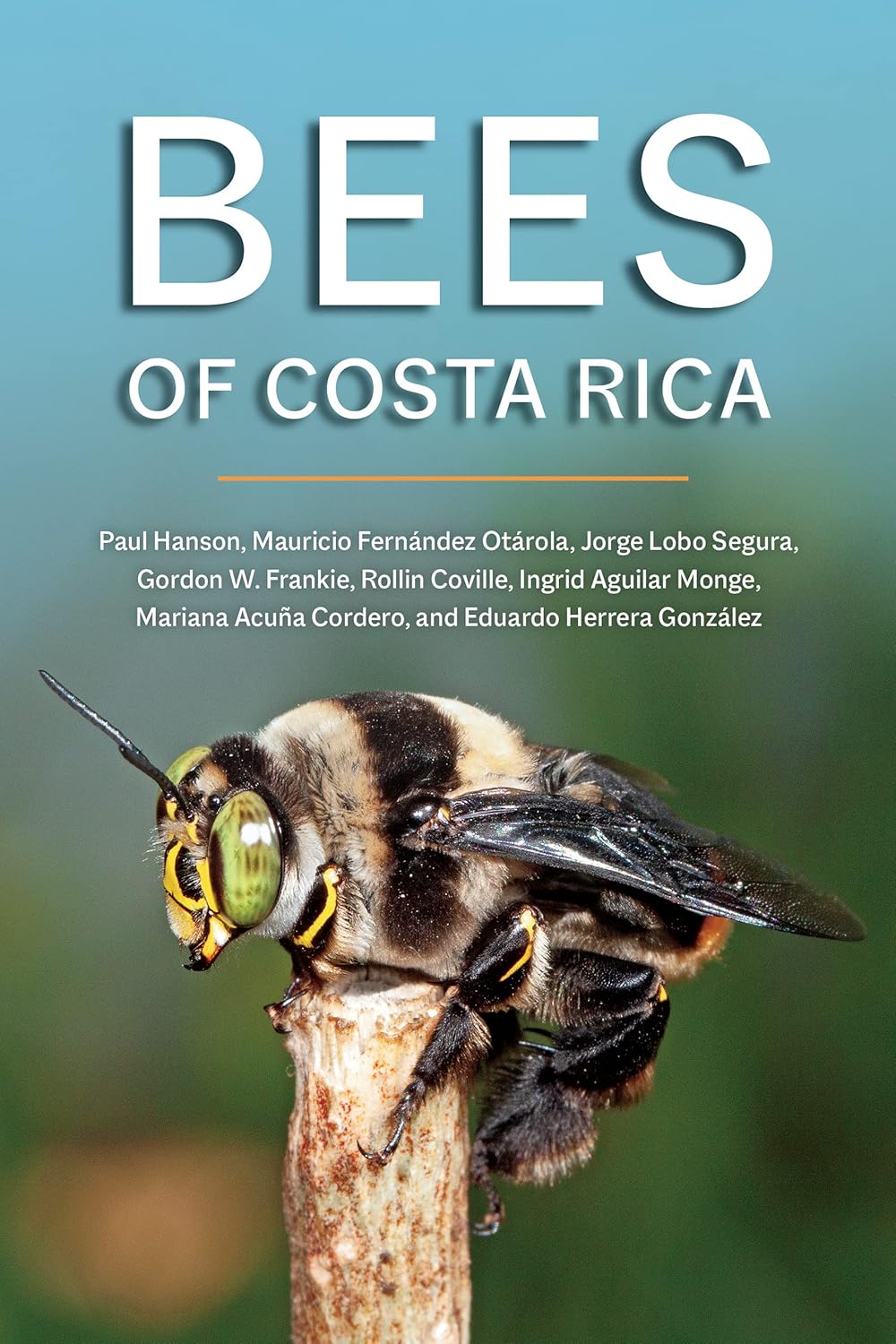 Bees of Costa Rica: Hanson, Paul E., Fernández Otárola, Mauricio, Lobo ...