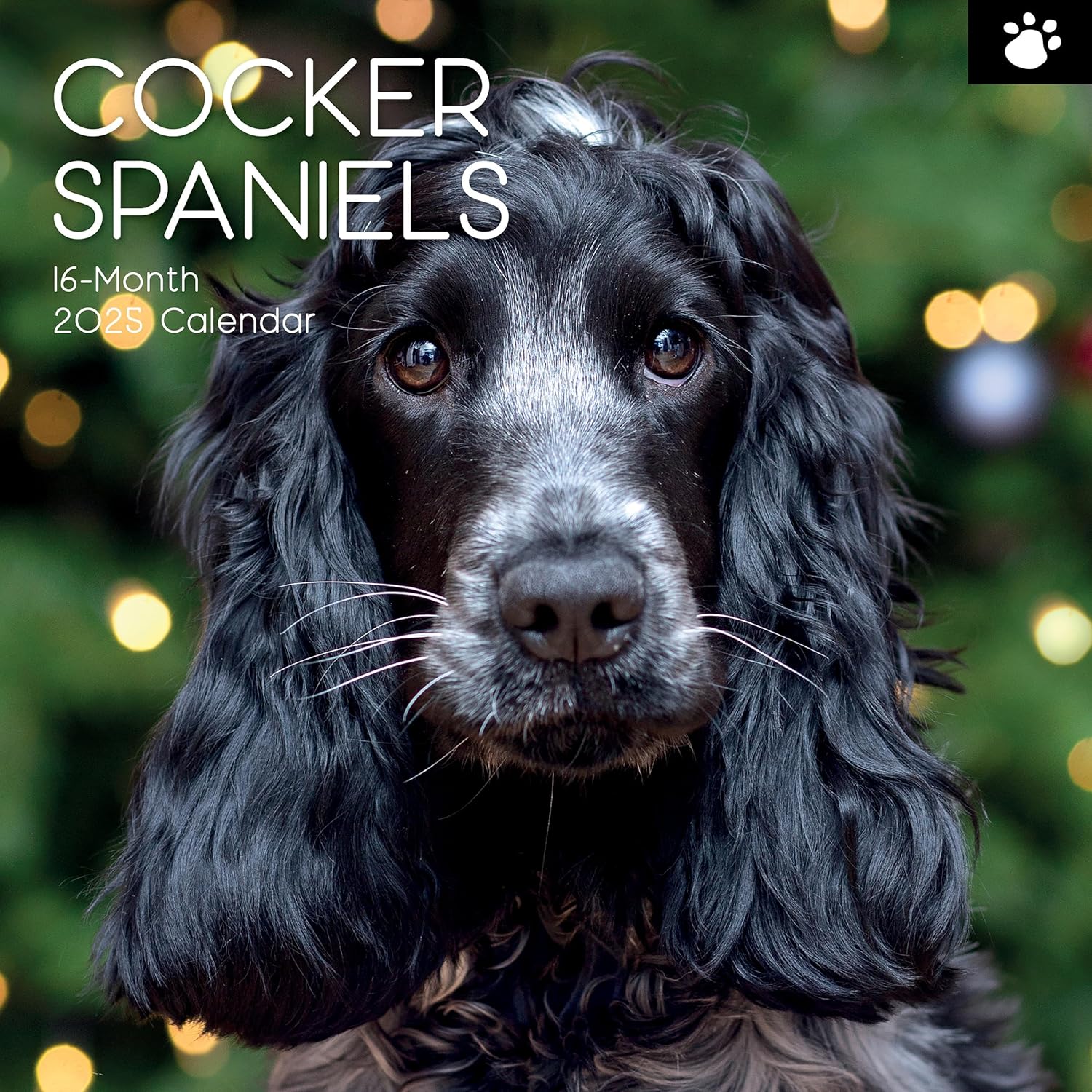 TGSC | Cocker Spaniels 2025 Calendar 16 Month (Sept 2024-Dec 2025 ...