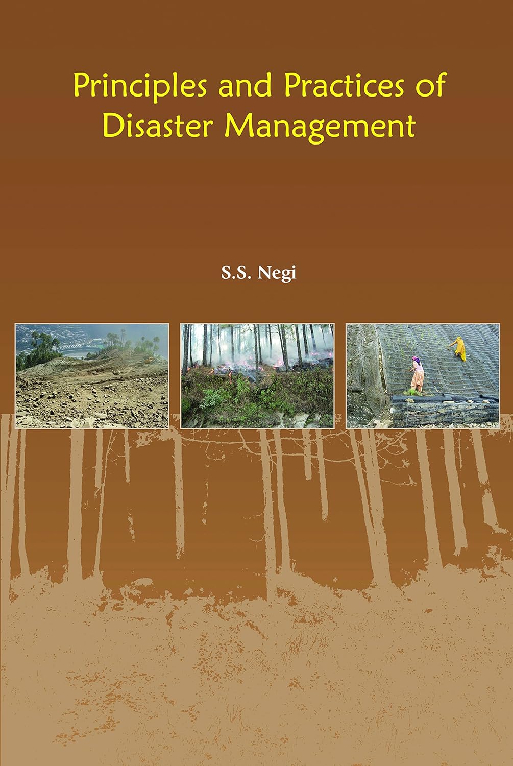 Buy Principles and Practices of Disaster Management Book Online at Low ...