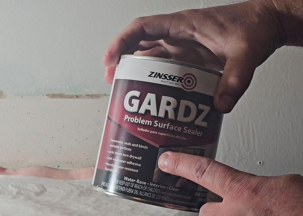 Watch Gardz problem surface sealer on Amazon Live