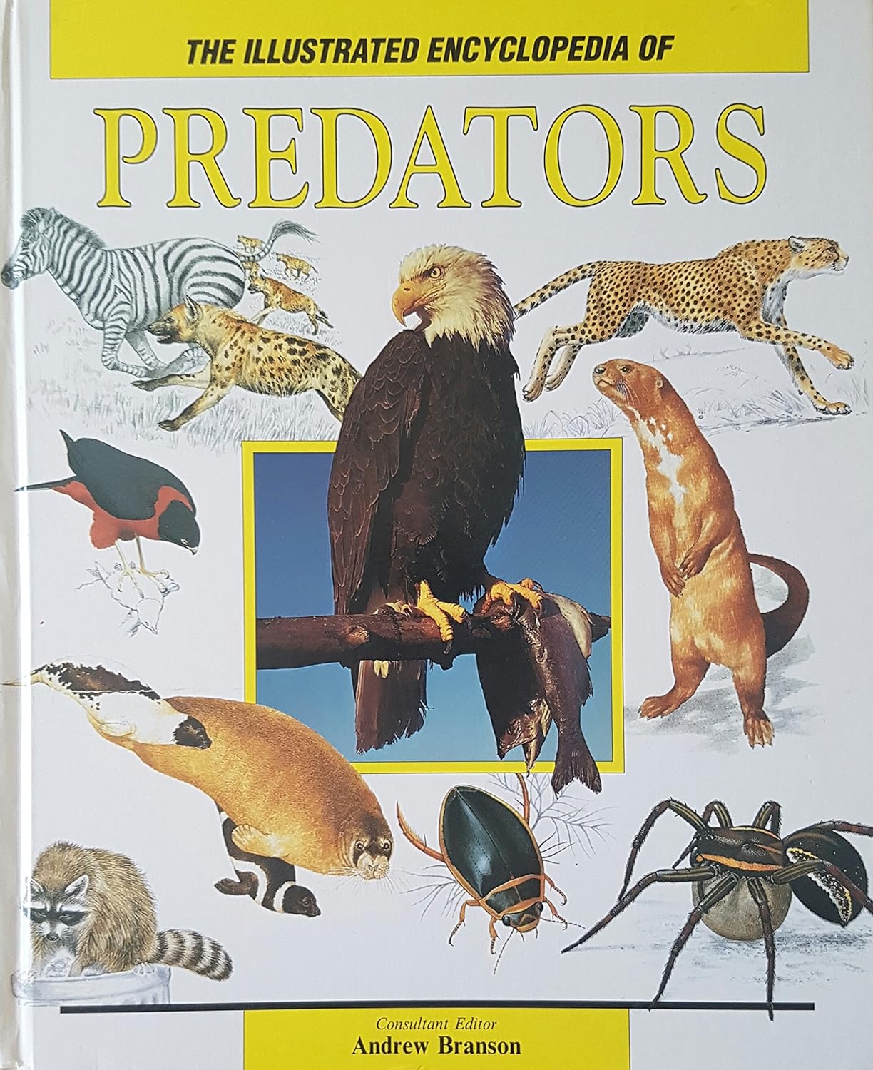 Complete Encyclopedia of Predators: jill-bailey: 9781871869156: Amazon ...
