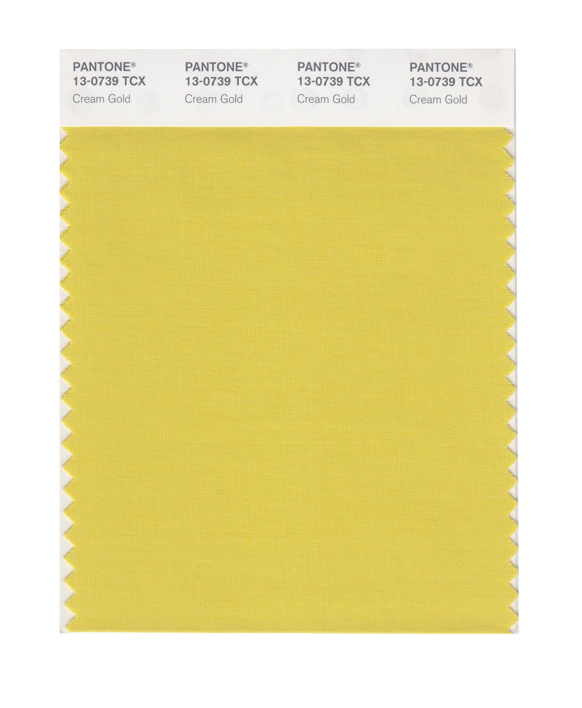 PANTONE Smart 13-0739X Color Swatch Card, Cream Gold - House Paint ...
