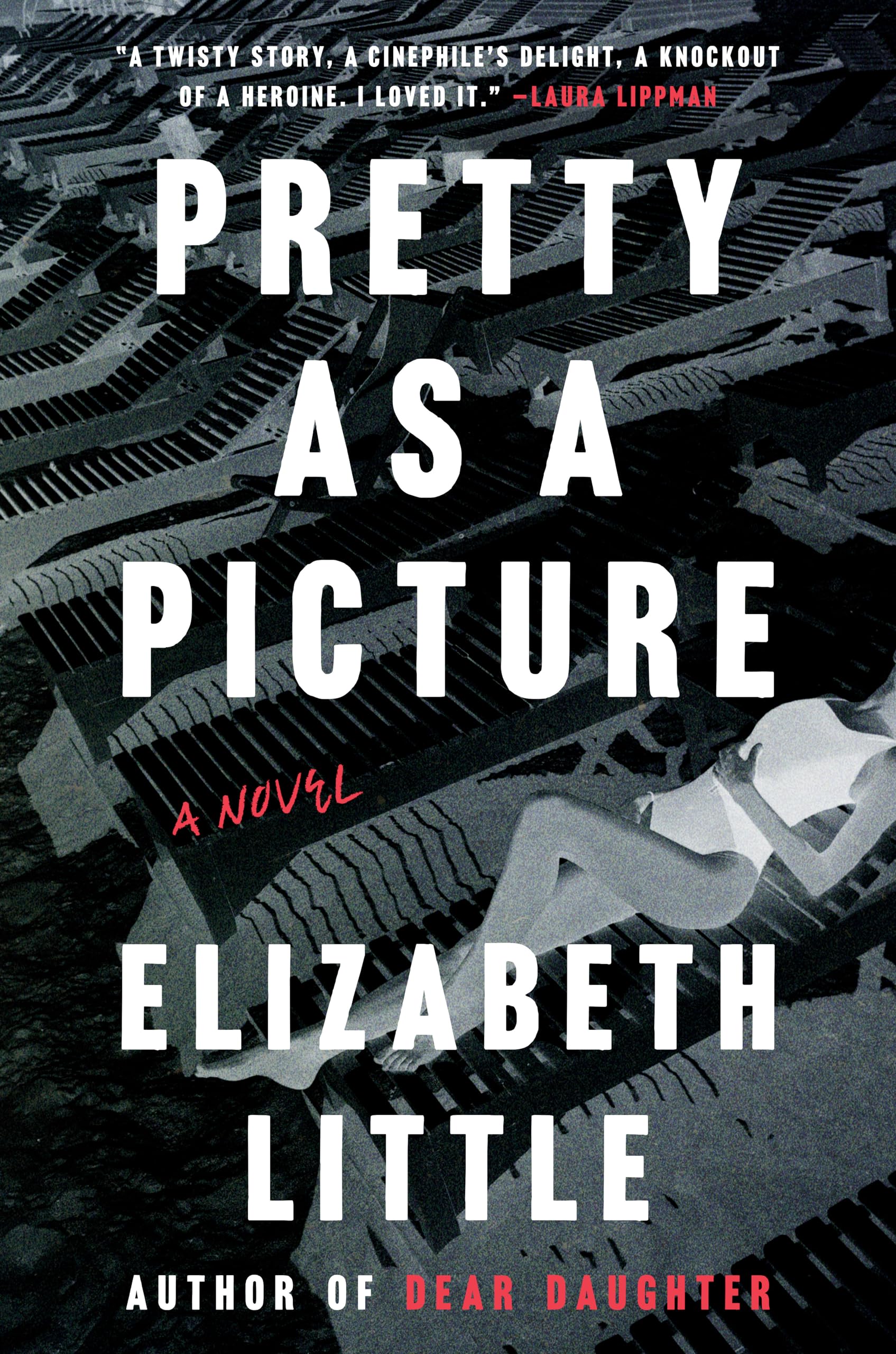 Amazon.com: Pretty as a Picture: A Novel: 9780670016396: Little ...