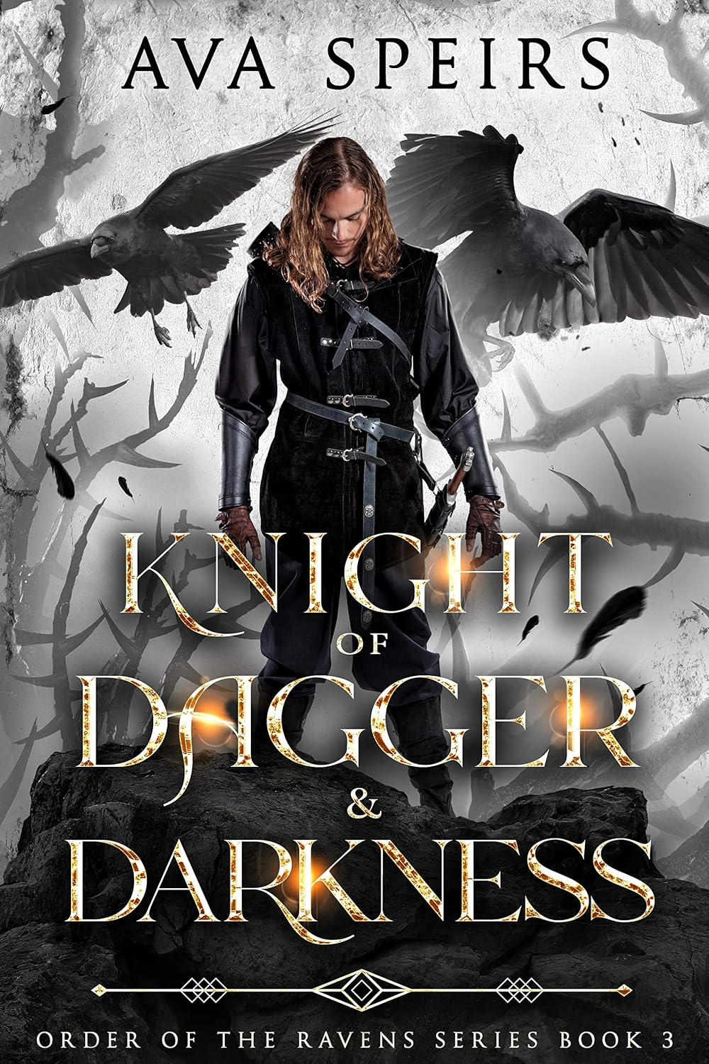 Amazon.com: Knight of Dagger & Darkness: Order of the Ravens Series ...