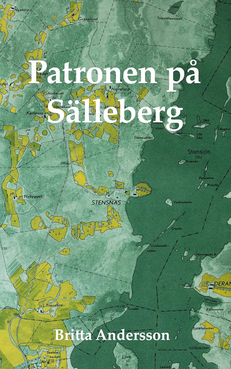Amazon.com: Patronen på Sälleberg: 9789179697044: Britta Andersson: Books
