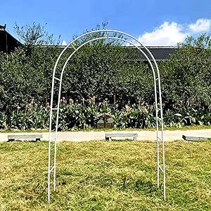 Amazon.com : Metal Arch Arbor, Garden Arch for Various Climbing Plants ...