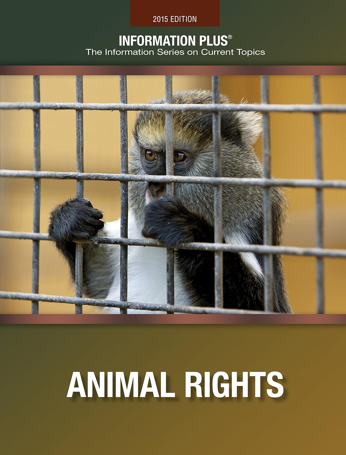 Animal Rights (Information Plus Reference Series): Evans, Kim Masters ...