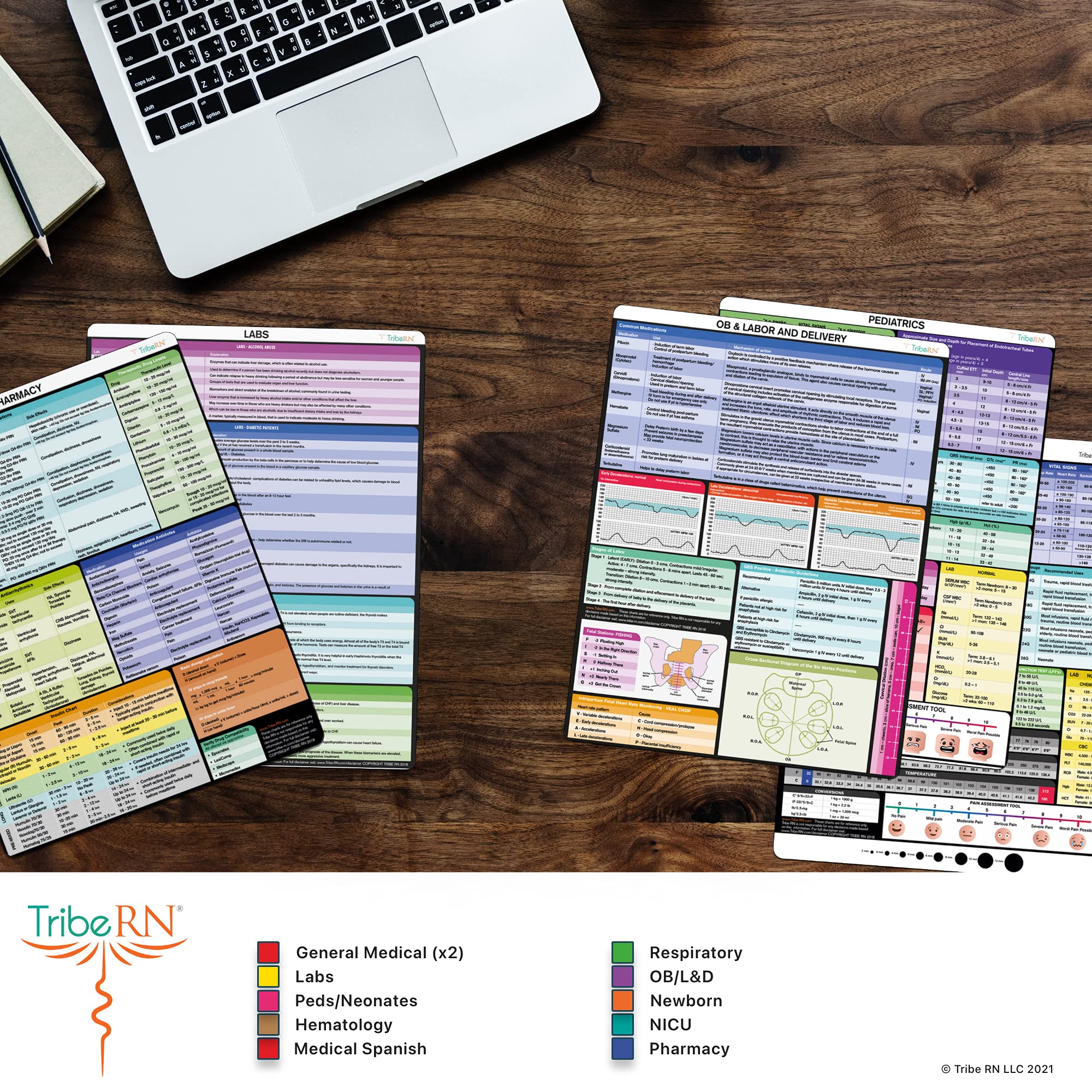 Snapklik.com : Nursing Cheat Sheets By Tribe RN - 6 Heavy Duty Medical Reference Cards For ...