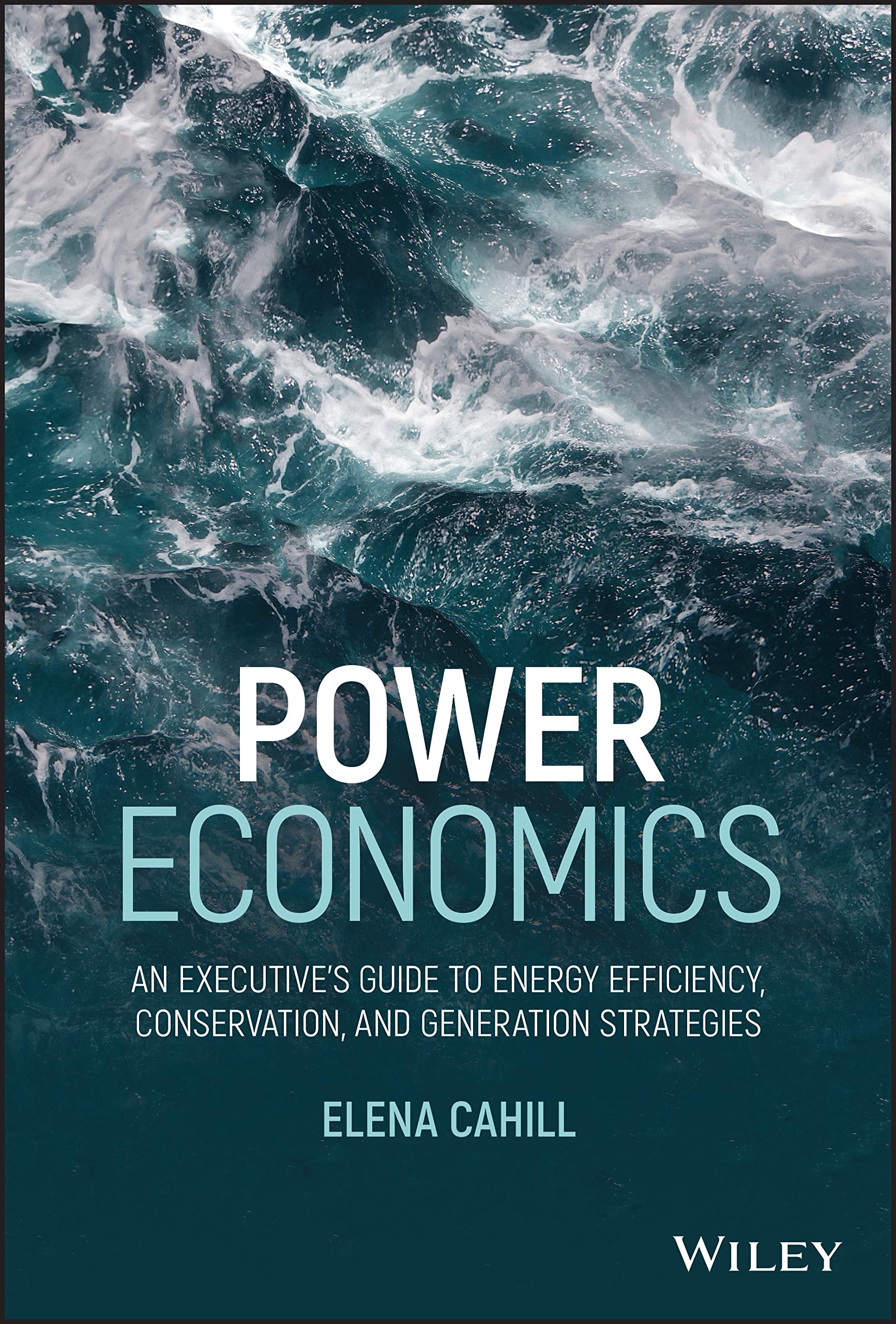 Power Economics: An Executive's Guide to Energy Efficiency ...