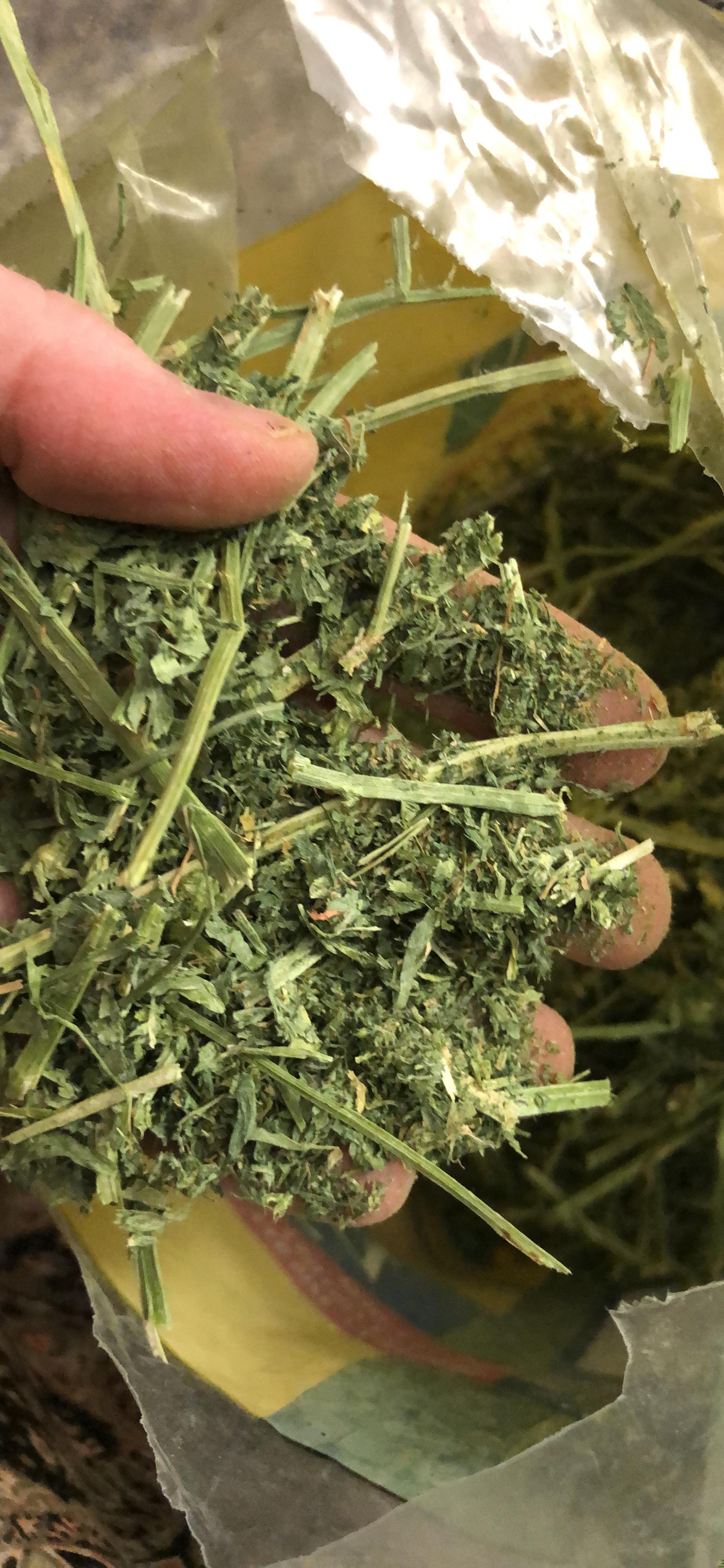 Amazon.com : Alfalfa King Double Compressed Alfalfa Hay Pet Food Treat ...