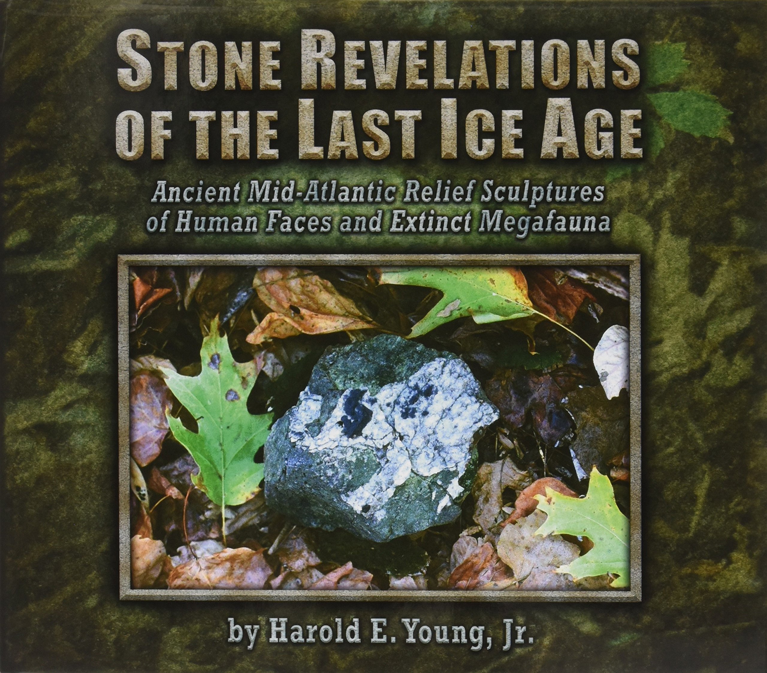 Buy Stone Revelations of the Last Ice Age: Ancient Mid-Atlantic ...