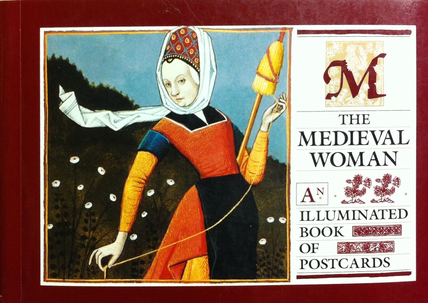 Medieval Woman:Postcards: Amazon.co.uk: Fox, Sally: 9780821218471: Books