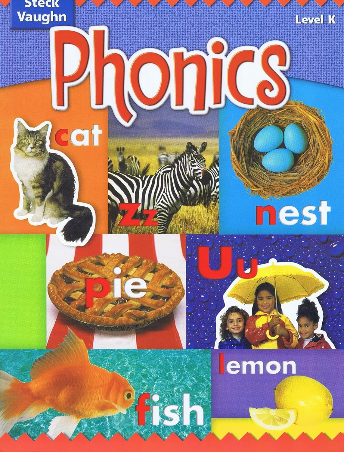 Phonics (Steck-Vaughn Phonics Level K): Steck-Vaughn: 9780739891346 ...