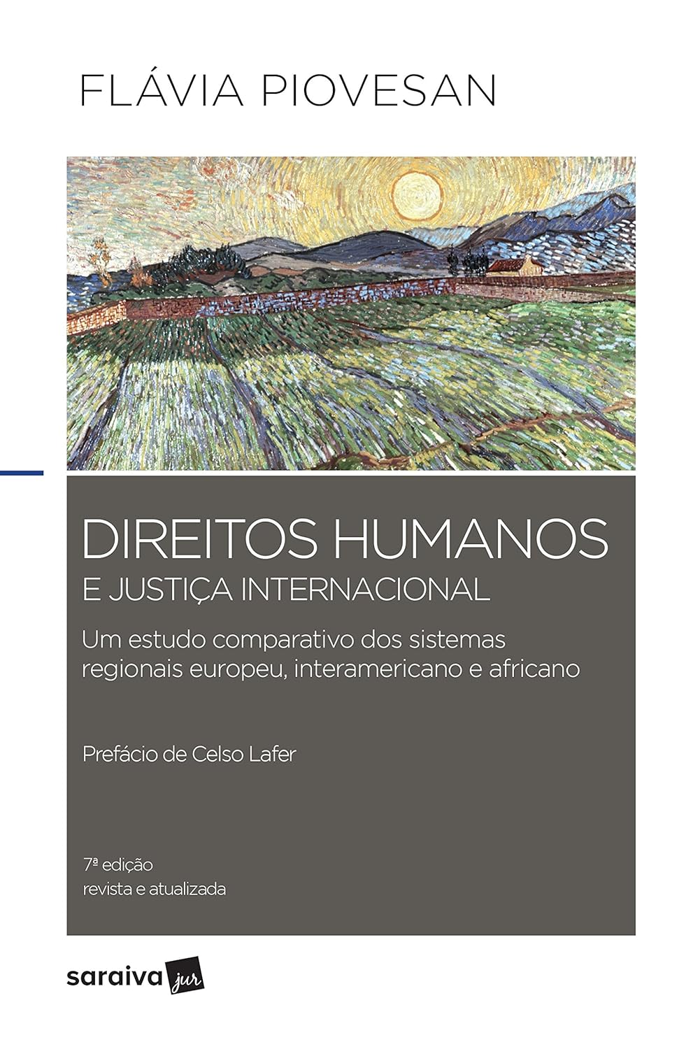 Direitos Humanos E Justiça Internacional : Flávia Piovesan: Amazon.de ...