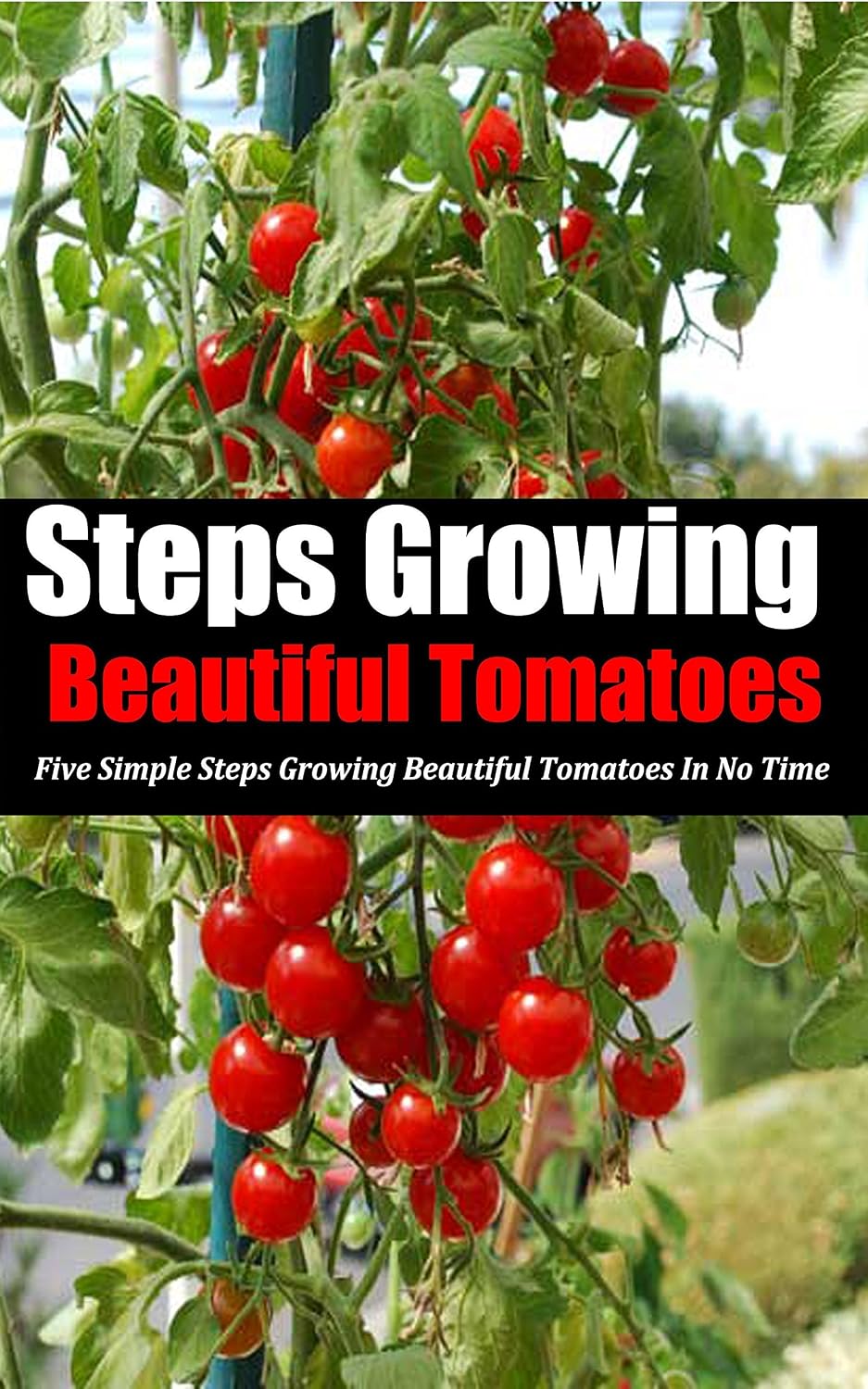 Steps Growing Beautiful Tomatoes: Five Simple Steps Growing Beautiful ...