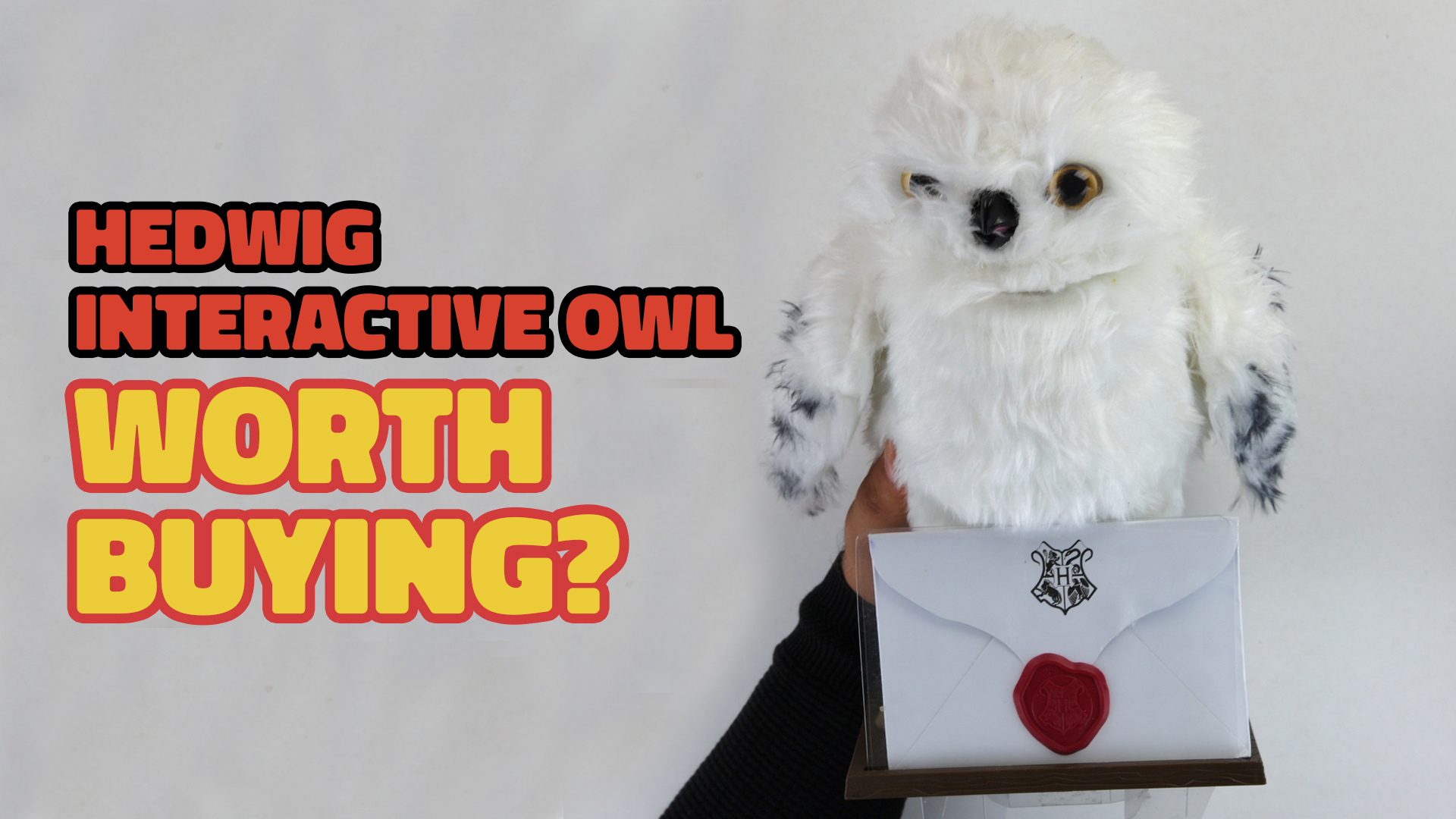 Watch Hedwig Interactive Owl - Honest Review on Amazon Live