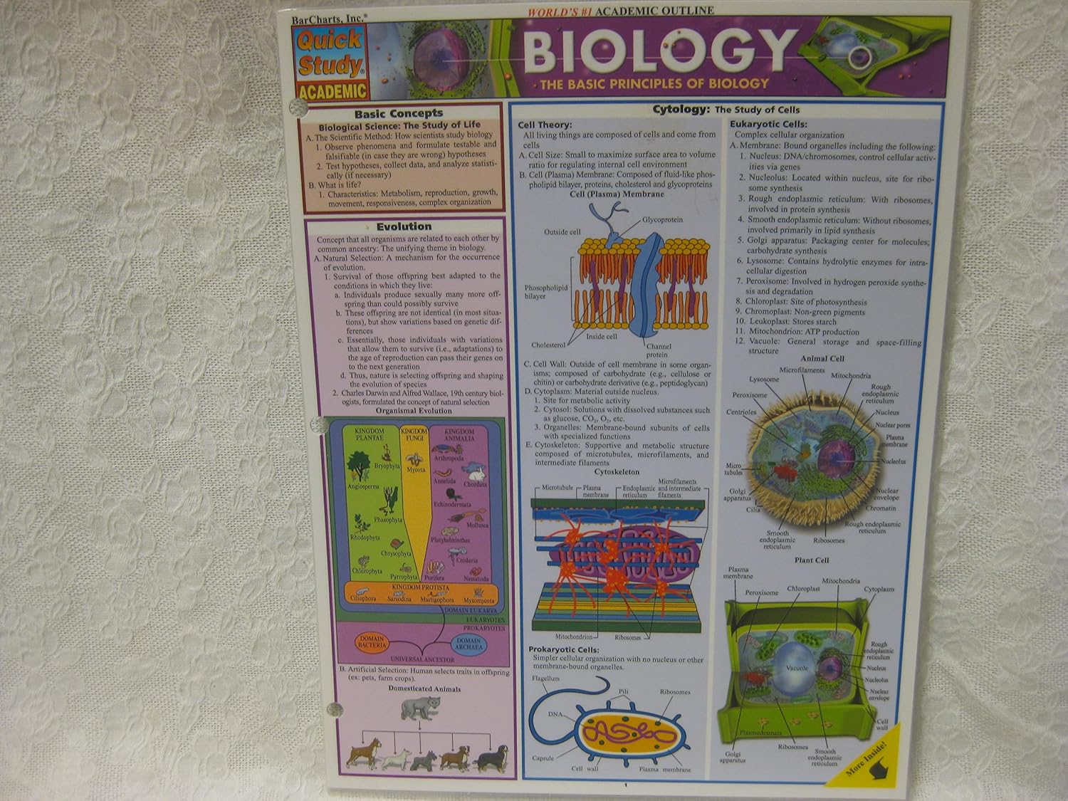 Biology (Quickstudy Reference Guides - Academic): BarCharts, Inc ...