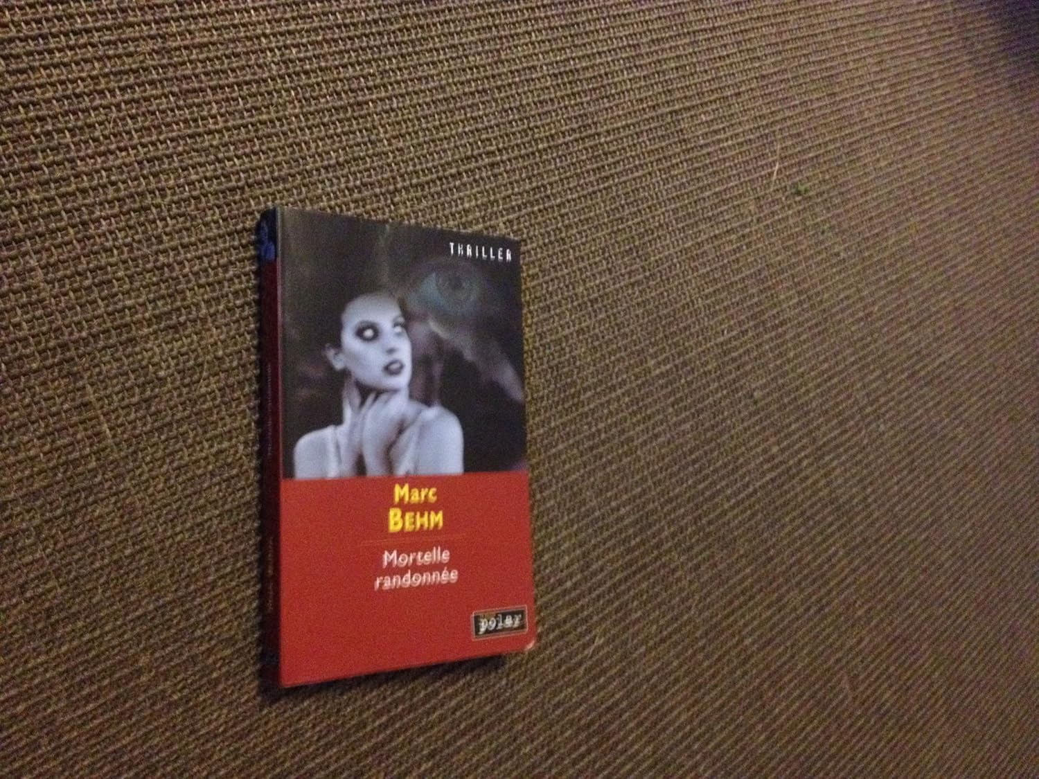 Mortelle randonnée (Thriller): Marc Behm, Rosine Fitzgerald ...