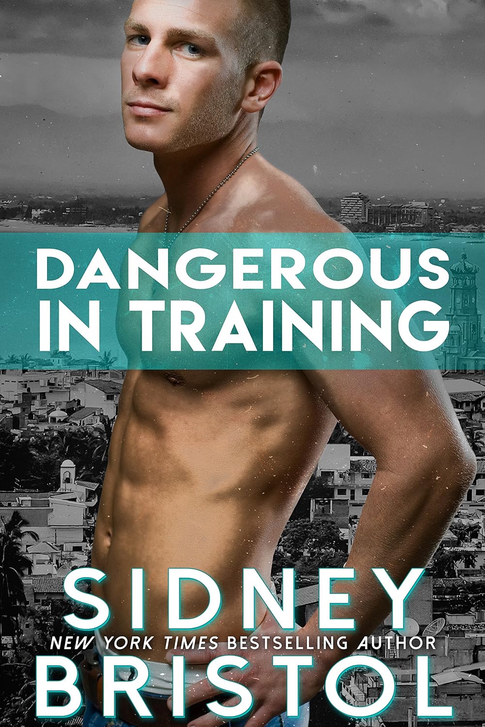 Dangerous in Training (Aegis Group Book 2) - Kindle edition by Bristol ...