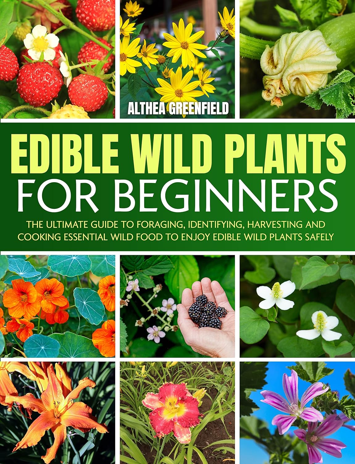 Edible Wild Plants For Beginners: The Ultimate Guide to Foraging ...