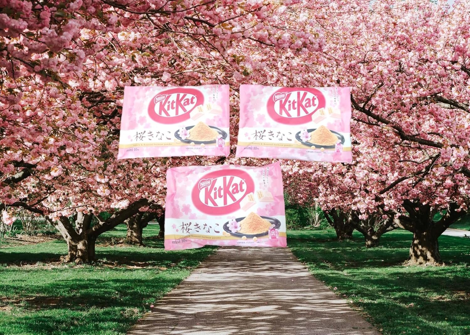 Amazon.co.jp: Nestle Kit Kat Mini Cherry Blossom Flavor, Pack of 10 x 3 ...