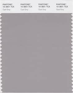 Pantone Smart Swatch 16-3801 Opal Gray : Amazon.de: DIY & Tools