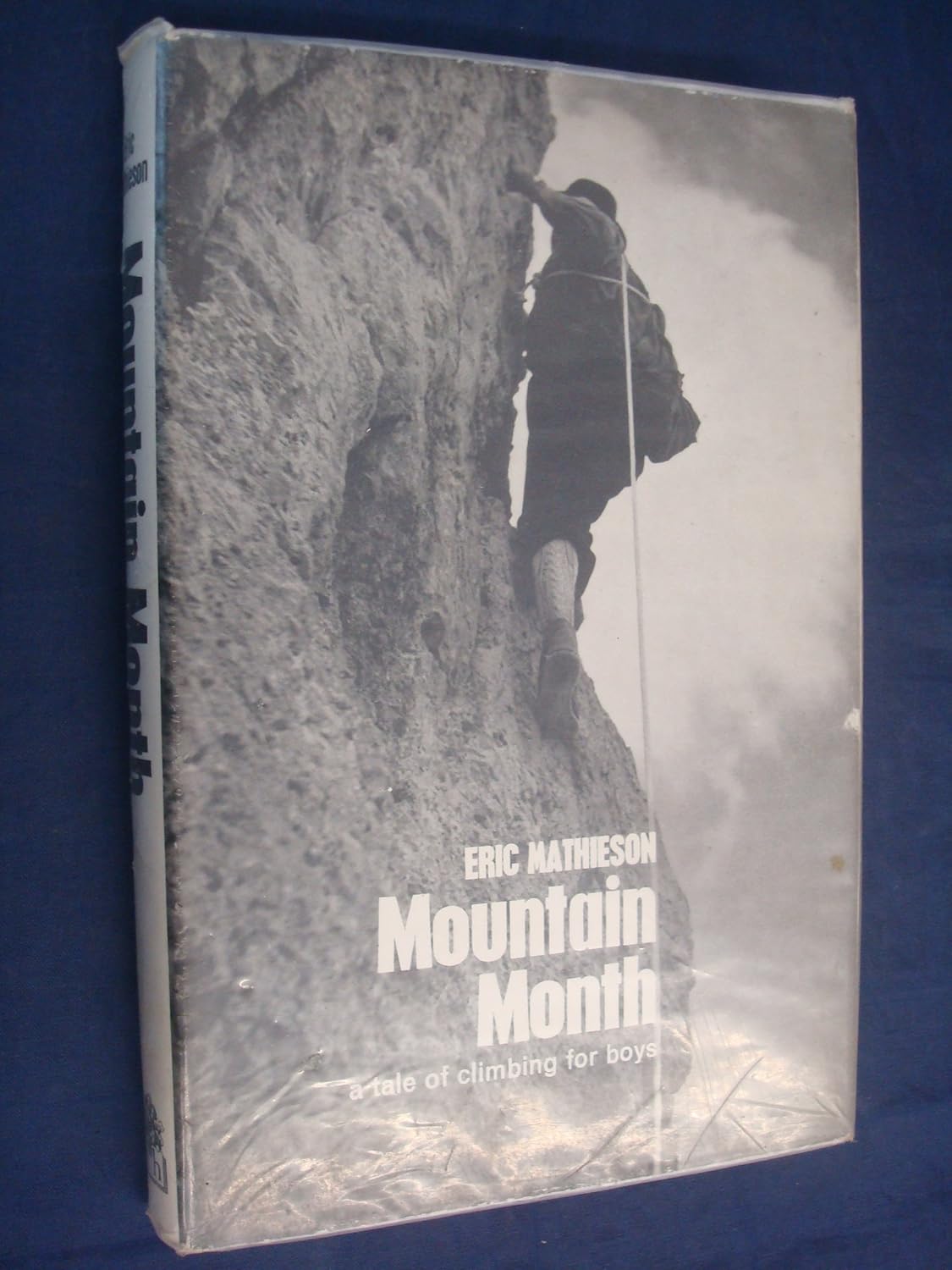 Mountain month: A tale of climbing for boys: Eric Mathieson: Amazon.com ...
