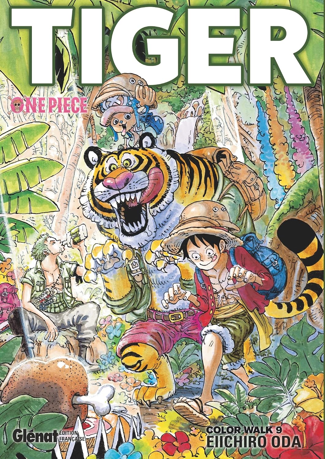 One Piece Color Walk - Tome 09 : Oda, Eiichirô, Couleard, Kévin: Amazon ...