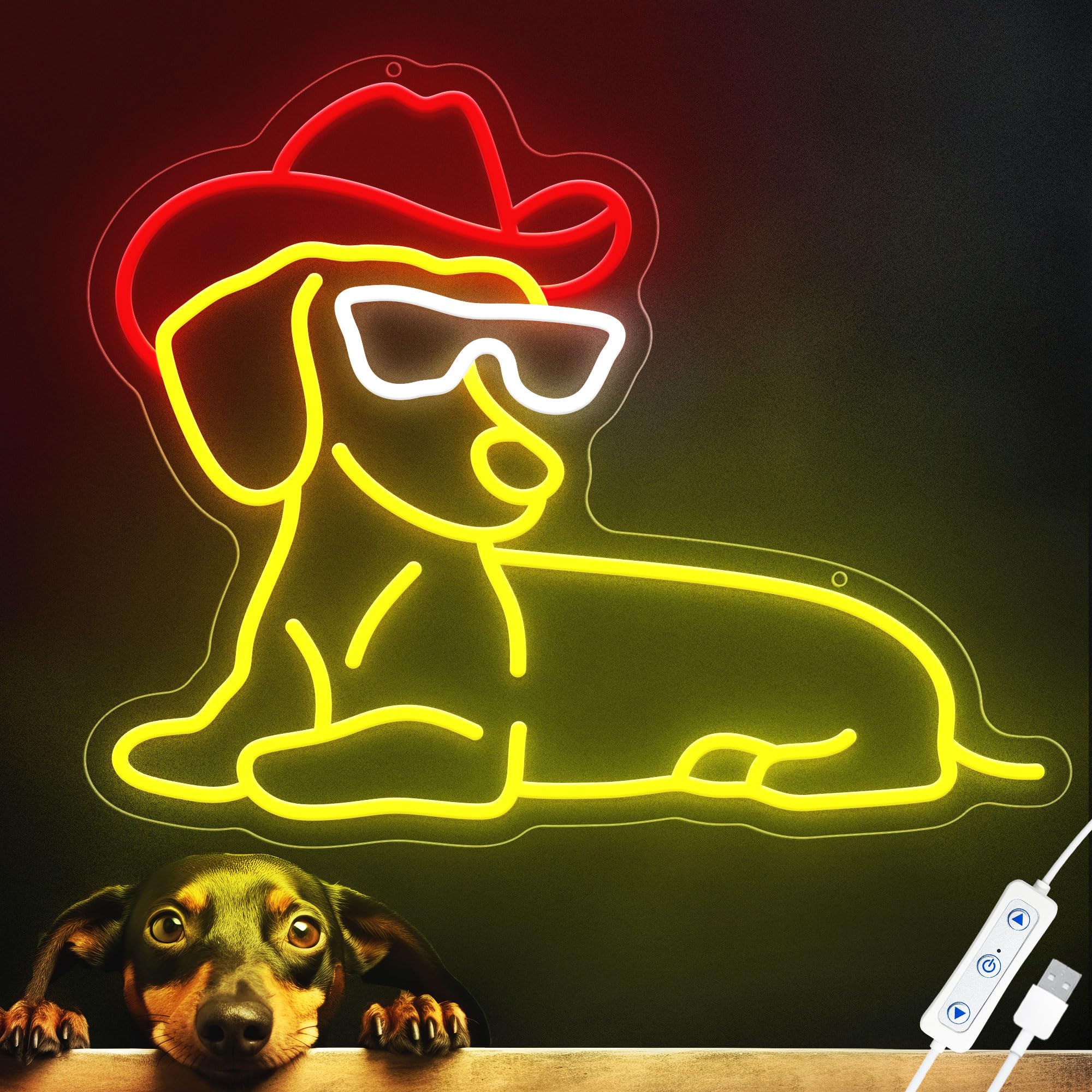 Amazon.com : ZLOOREE Dachshund Neon Signs for Wall Decor, Dimmable Cute ...
