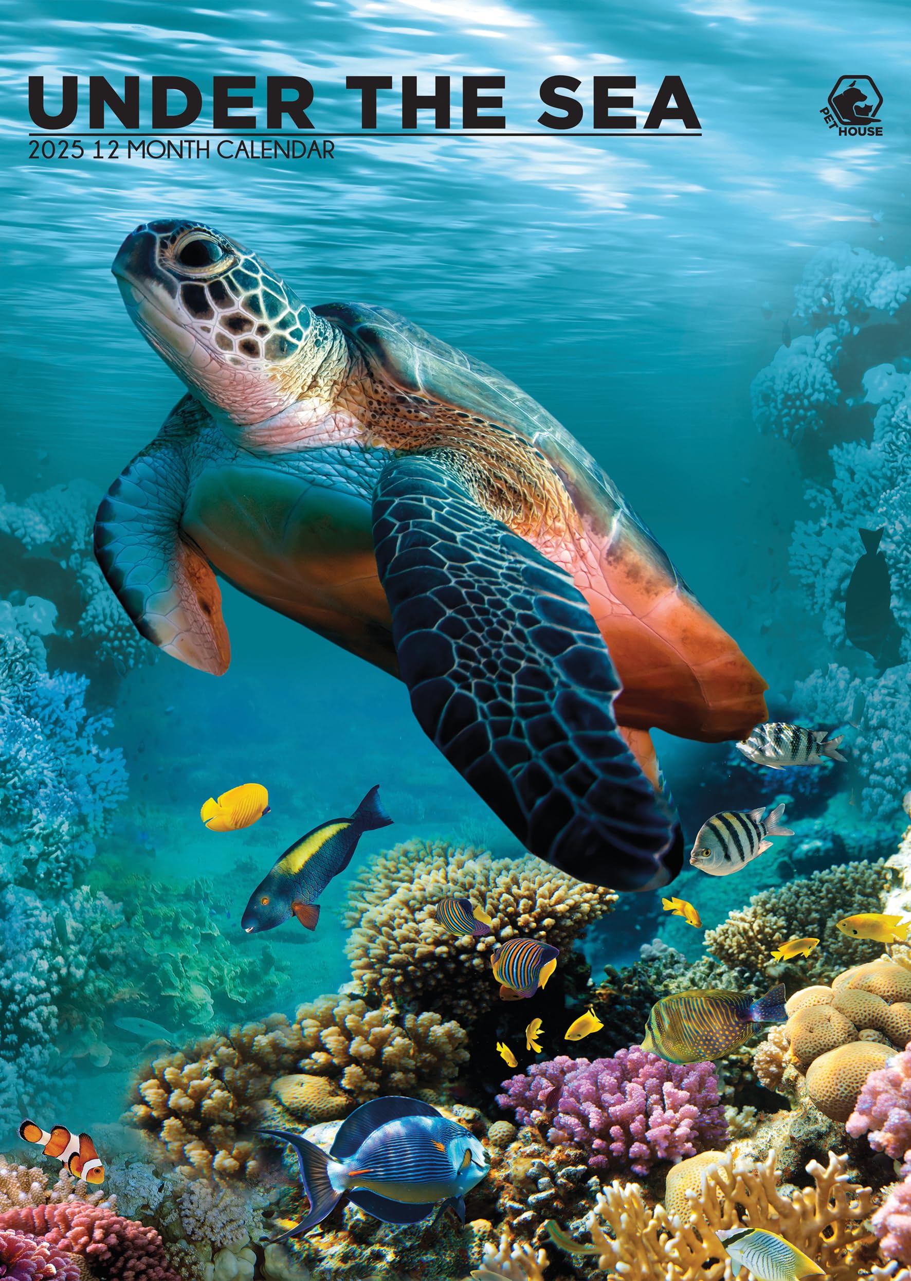 Under The Sea 2025 – A3 Size Wirobound Calendar – BigaMart