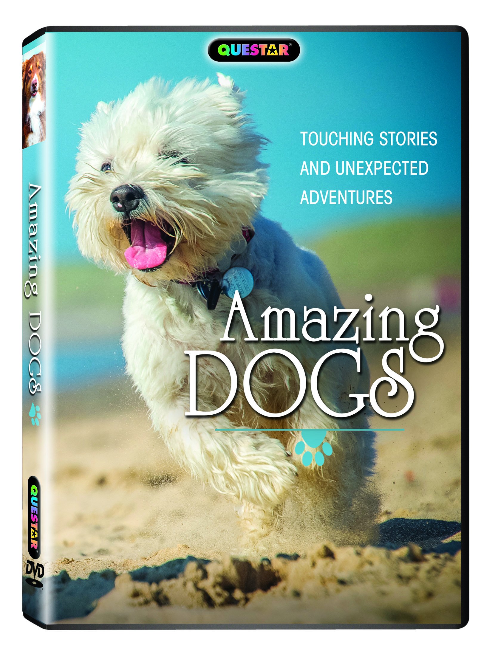 Amazon.com: Amazing Dogs [DVD] : Hosted by John Ross, Terry Stokes, Dr ...
